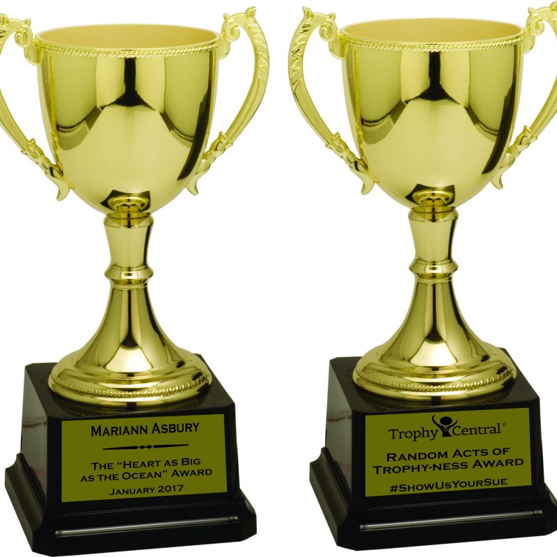 Winning Hearts and Winning Trophies: Introducing the "Heart as Big as ...